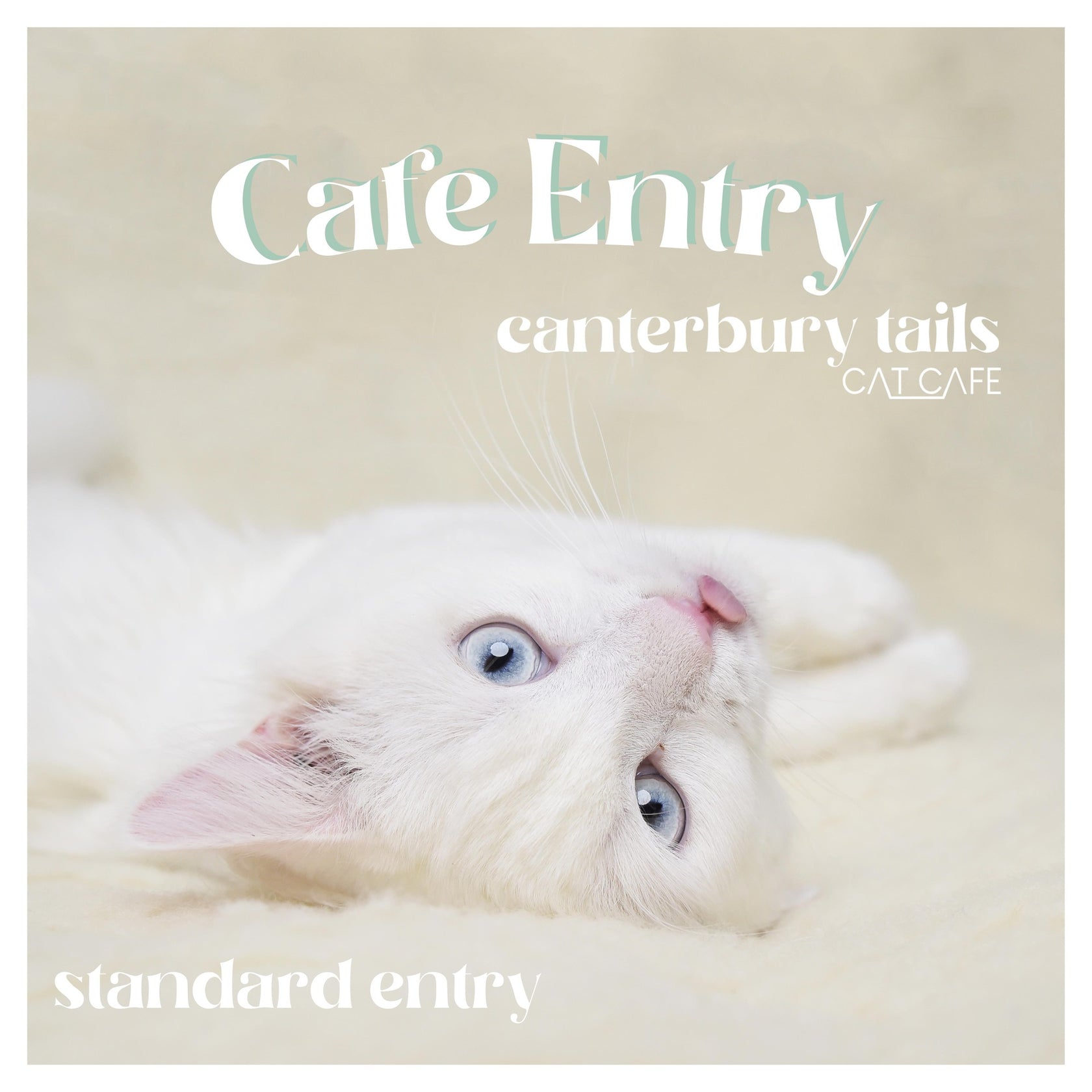 Booking – Canterbury Tails Cat Cafe